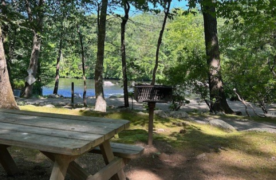 Cabin Rentals | Trailer Rentals | Family Campground